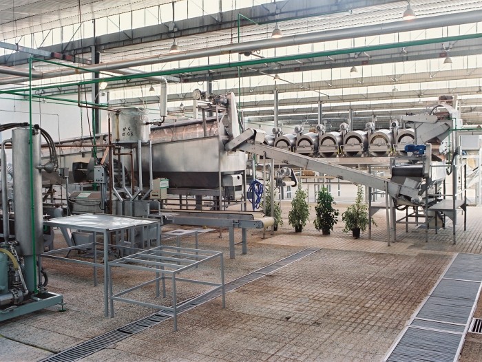 Galería de fotos | Productos Mata